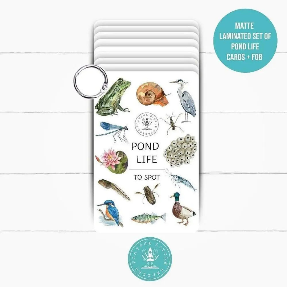 Pond Life Flashcards – Beesybox