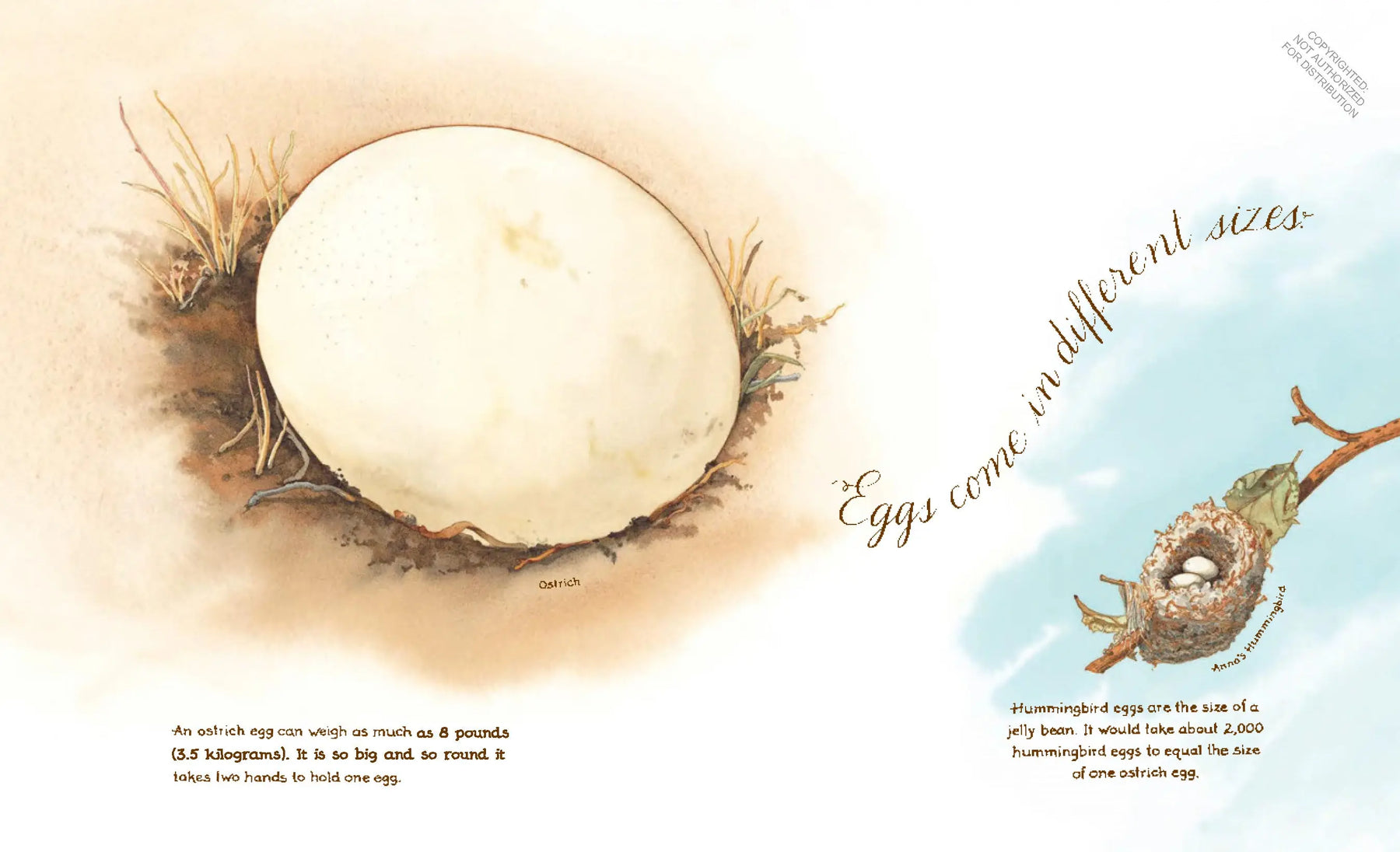 An Egg Is Quiet – Beesybox