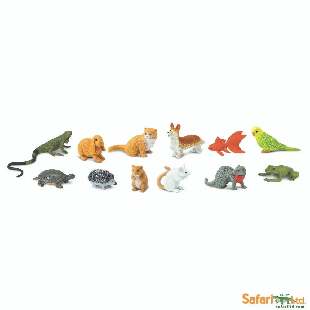 Safari Ltd Pets Toob Beesybox