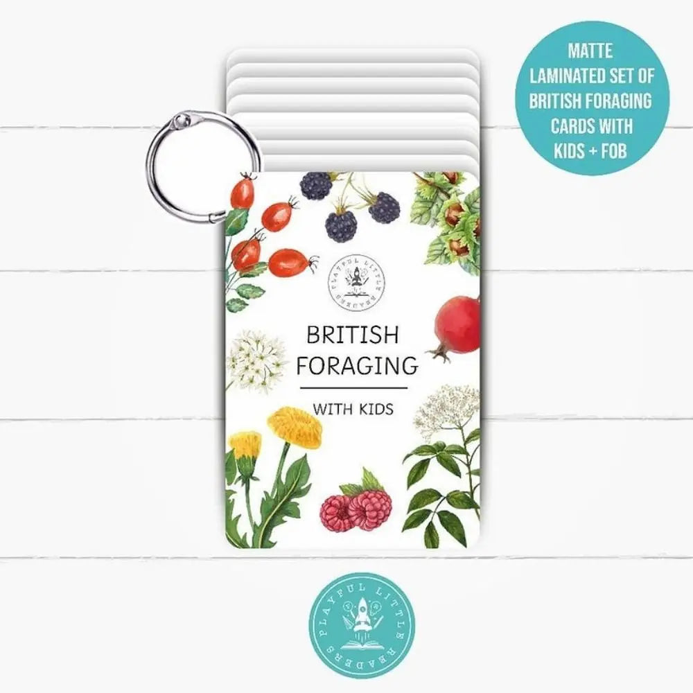 British Foraging Flashcards – Beesybox